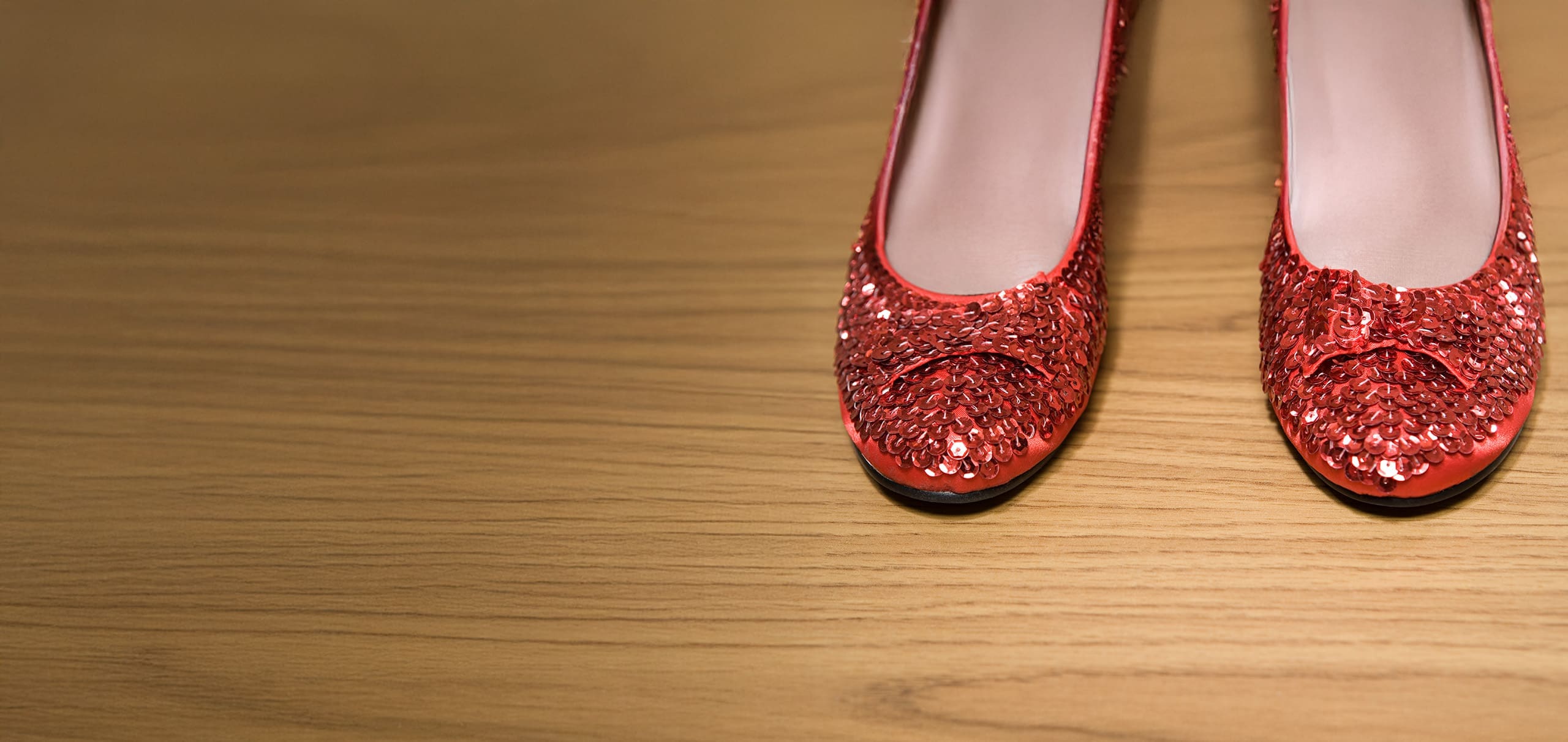 Ruby Red Slippers - Loren's Story | Brain Injury Association of Nebraska